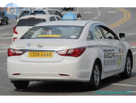 부산33바 6444, Hyundai Sonata (Busan metropolitan city) License plate of ...