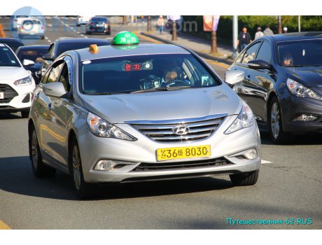 부산36바 8030, Hyundai Sonata (Busan metropolitan city) License plate of ...