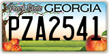 PZA2541, Volkswagen Golf (Georgia) License plate of the USA