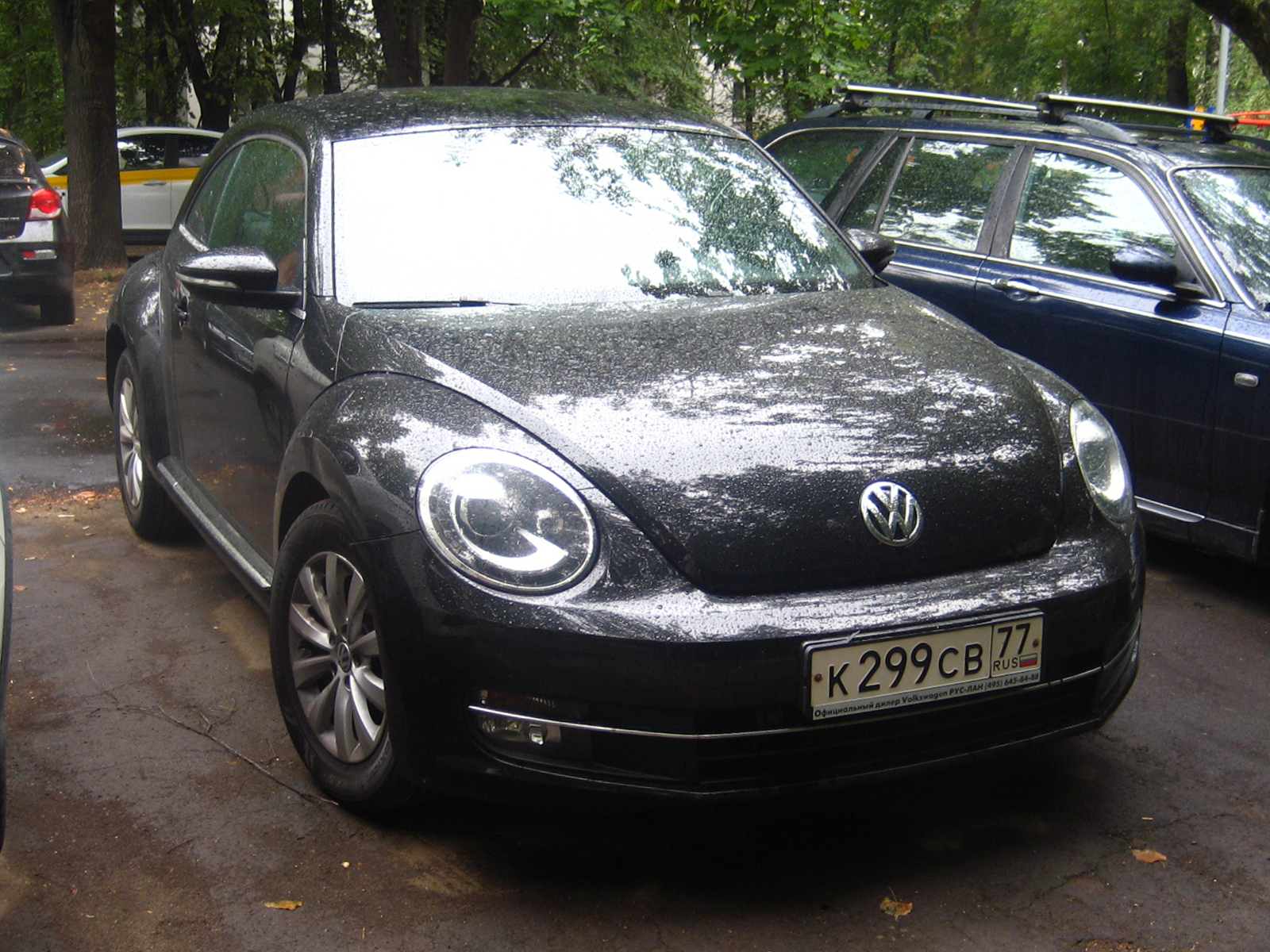 "к 299 св 77" photos Volkswagen Beetle. Russia