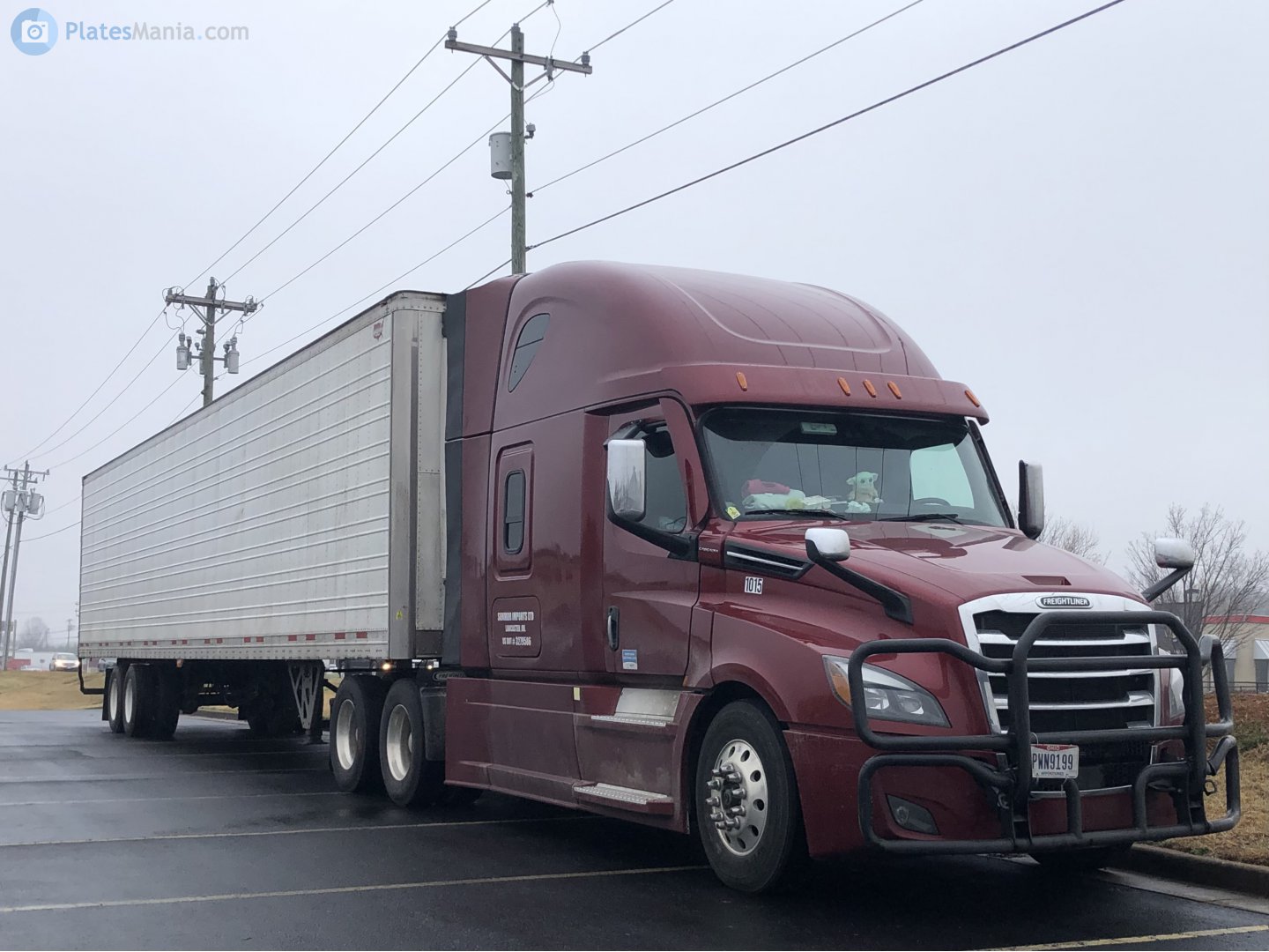 "PWN 9199" photos Freightliner Cascadia. USA