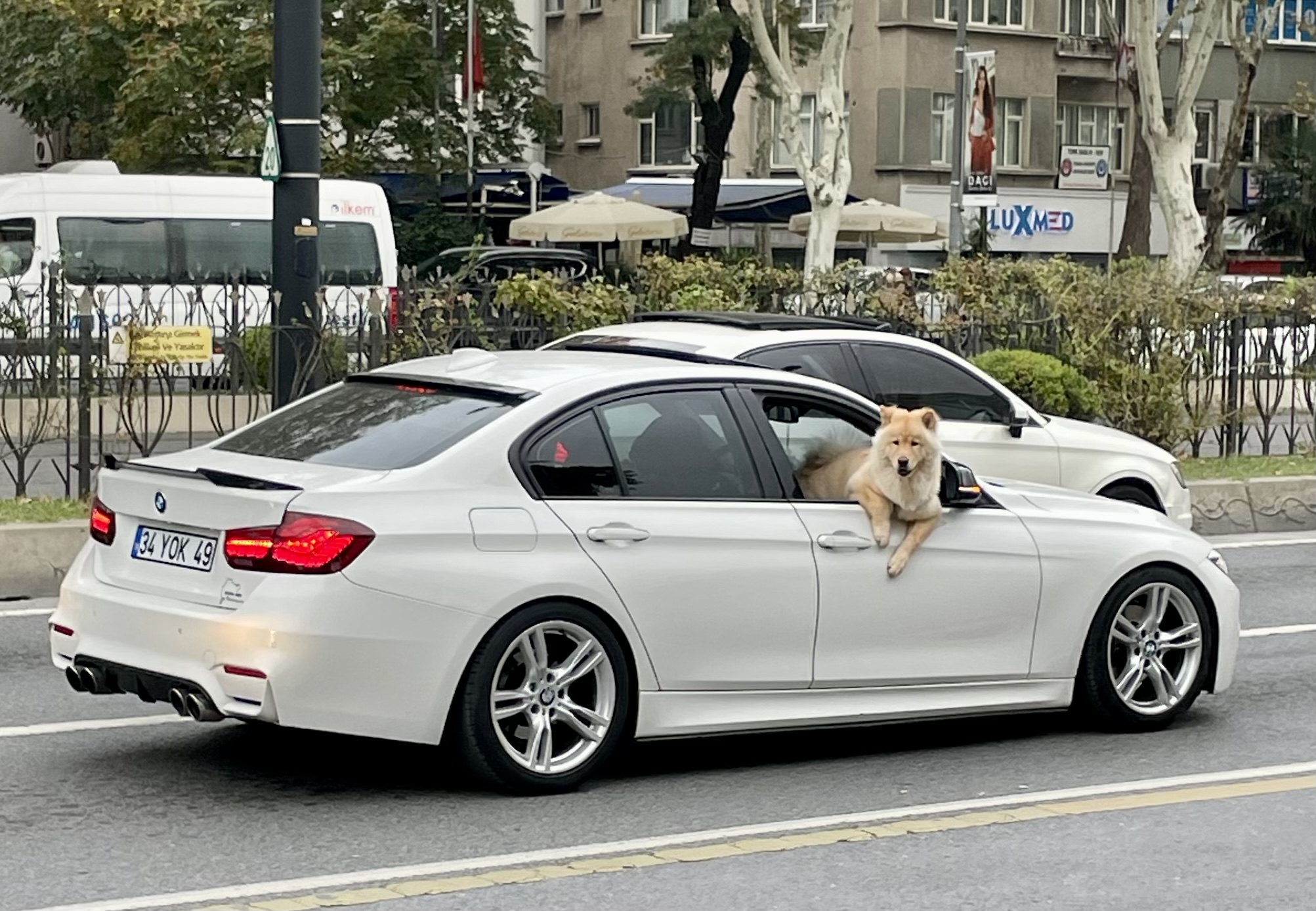 "34 YOK 49" photos BMW 3 Series. Turkey