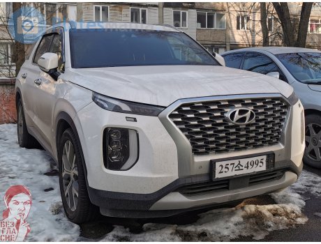 257소 4995, Hyundai Palisade , License plate of South Korea