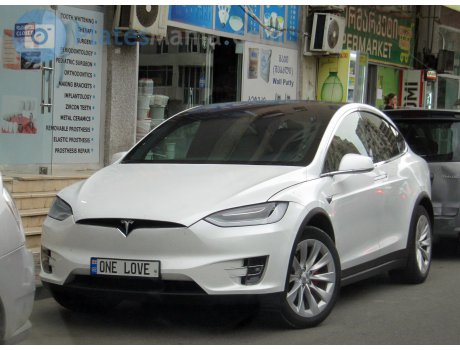 0NE L0VE, Tesla Model X , License plate of Georgia