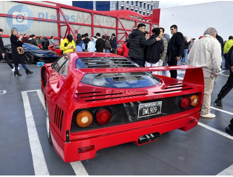 DWL909, Ferrari F40 (Montana) License plate of the USA