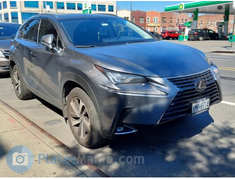 KMR-8714, Lexus NX (New York) License plate of the USA