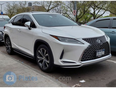 EVK-4613, Lexus RX (New York) License plate of the USA