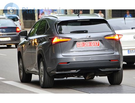 CD 29 017, Lexus NX (Finland) License plates of Spain