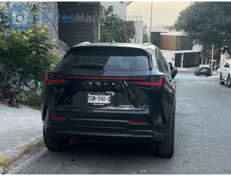 TGM-540-A, Lexus NX (Nuevo León) License plate of Mexico