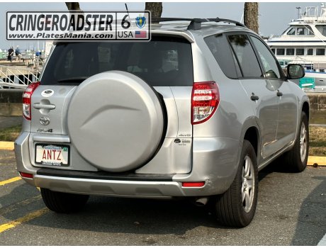 ANTZ, Toyota RAV4 (Massachusetts) License plate of the USA