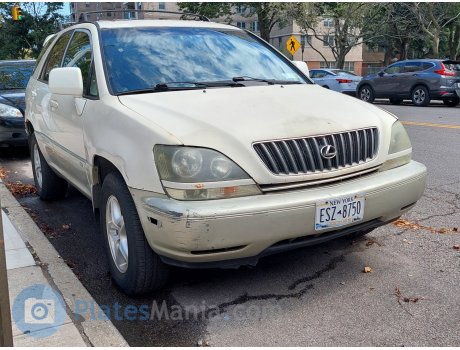 ESZ-8750, Lexus RX (New York) License plate of the USA