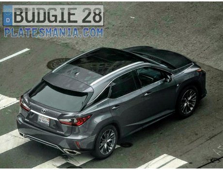 8FYH802, Lexus RX (California) License plate of the USA