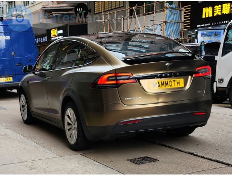 MAMM0TH, Tesla Model X , License plate of Hong Kong