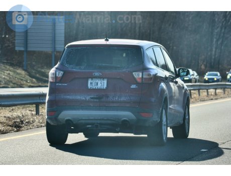 MEOW 53, Ford Escape (New York) License plate of the USA