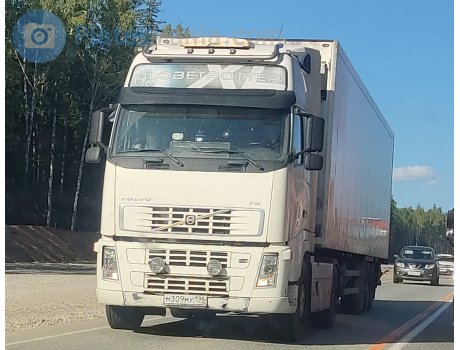 м309му196, Volvo FH (Sverdlovsk Oblast) License plate Russia