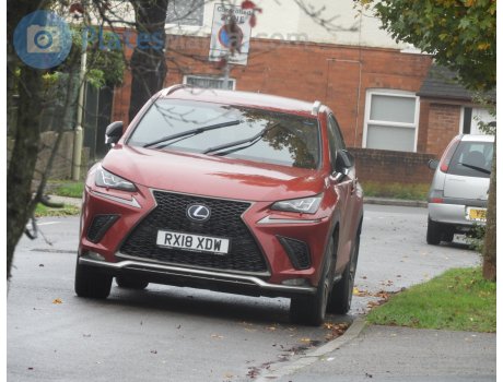 RX18 XDW, Lexus NX (Reading) License plate of the United Kingdom