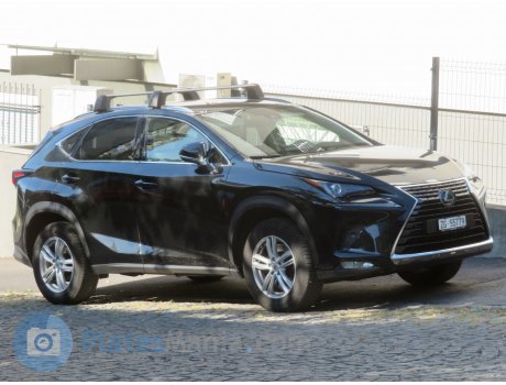 ZG 55779, Lexus NX (Zug) License plate of Switzerland