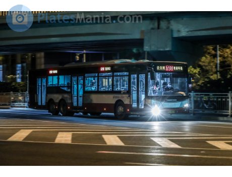 京A·J4274, Youngman (Foreign citizens and enterprizes) License plate of ...