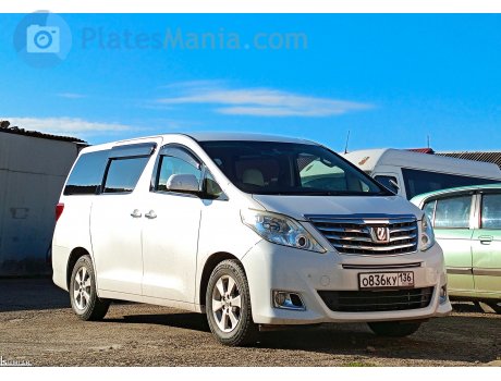 о836ку136, Toyota Alphard (Voronezh Oblast) License plate Russia