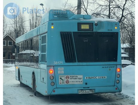 р553нн198, MAZ 203 (St. Petersburg City) License plate Russia