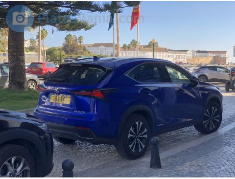 G 8494 F, Lexus NX License plate of Gibraltar