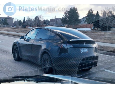 YEASURE, Tesla Model Y (Colorado) License plate of the USA
