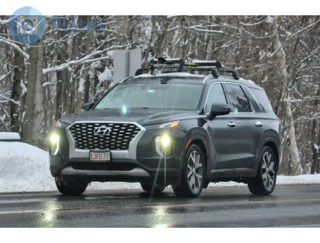 1JFD 77, Hyundai Palisade (Massachusetts) License plate of the USA