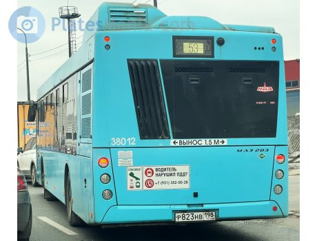 р823нв198, MAZ 203 (St. Petersburg City) License plate Russia