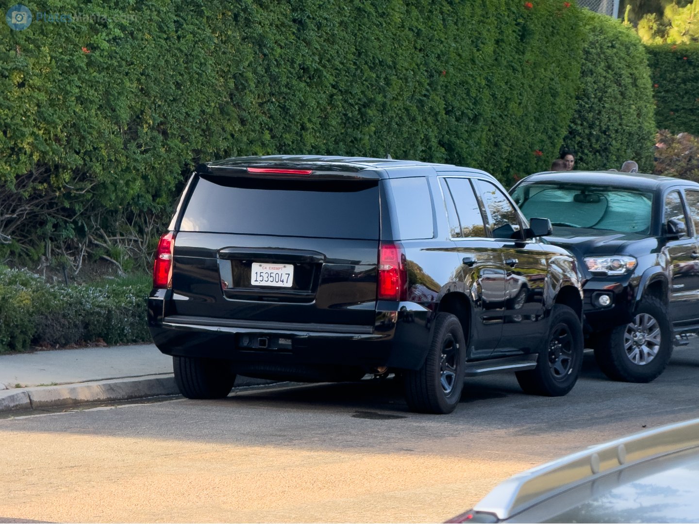 "1535047" photos Chevrolet Tahoe. USA