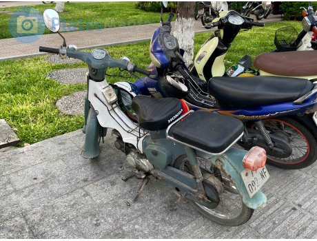 "79 092-NF" photos Honda Cub/Super Cub. Vietnam