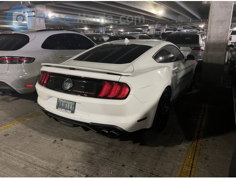 NAJELLY, Ford Mustang (Nevada) License plate of the USA