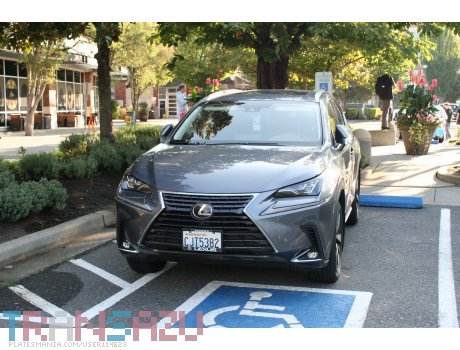 CJT5382, Lexus NX (Washington) License plate of the USA