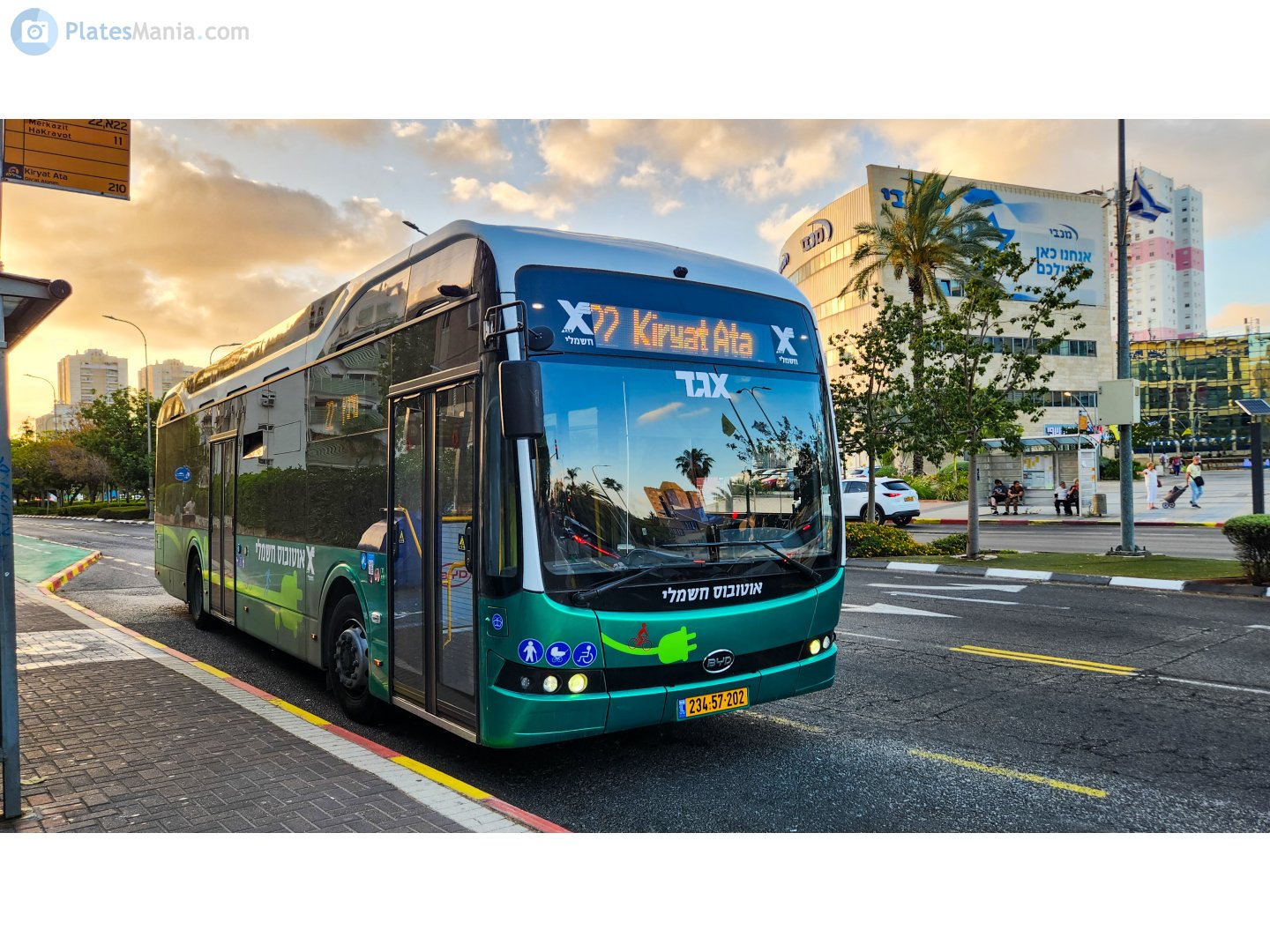 "234-57-202" photos BYD ebus. Israel