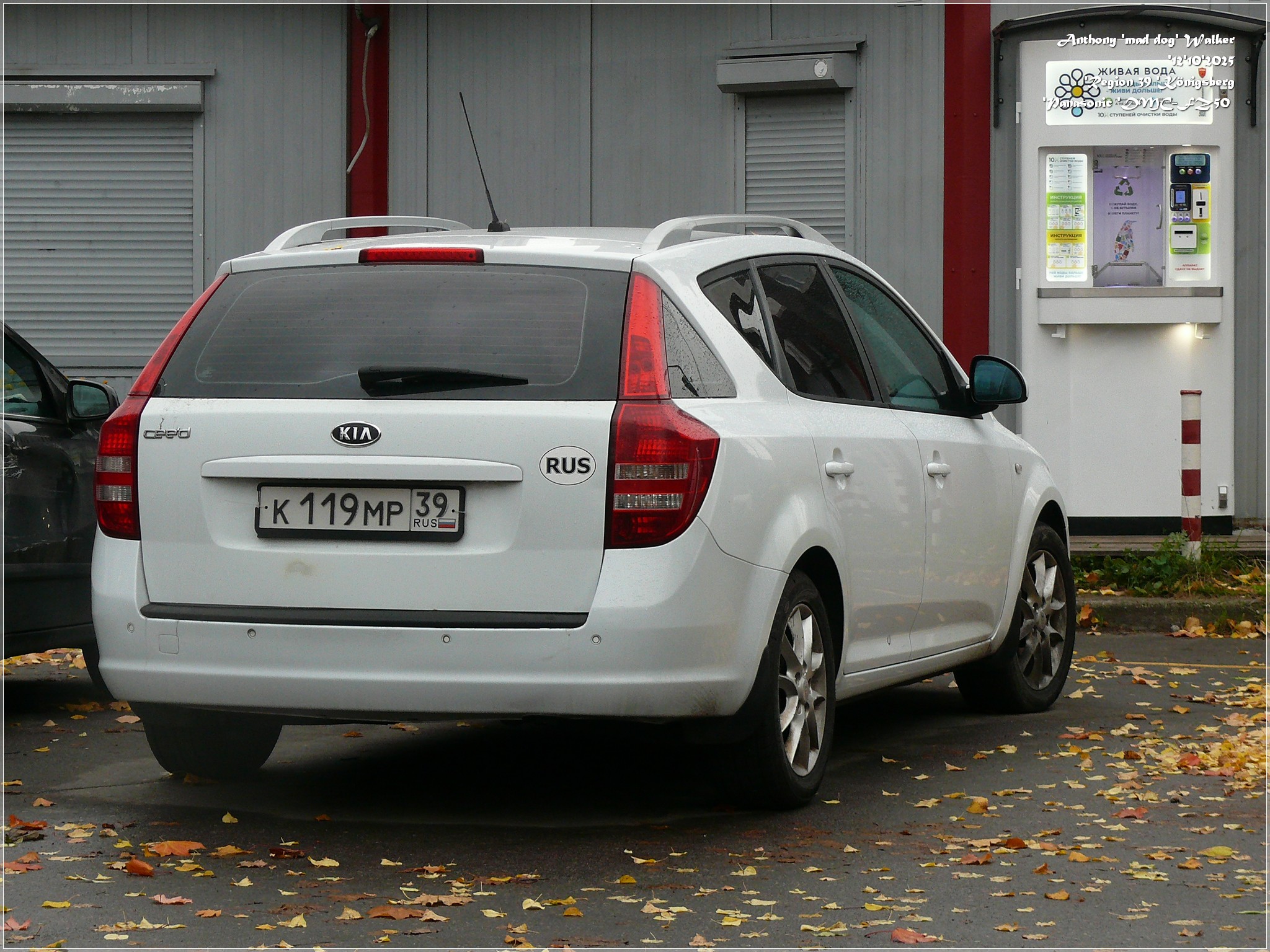 "к 119 мр 39" photos Kia Ceed. Russia