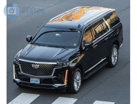DFT 0407, Cadillac Escalade (Qatar) License plate of the USA / Federal ...