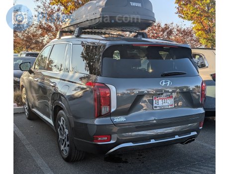 4B S442U, Hyundai Palisade (Idaho / Bingham) License plate of the USA