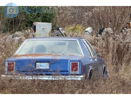 Nova Scotia (NS) license plates Lookup