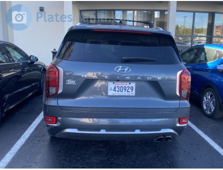 430929, Hyundai Palisade (Louisiana) License plate of the USA