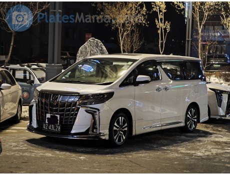 粤Z·43L2港, Toyota Alphard (License plates for crossing border) License ...