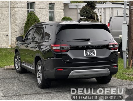 79840, Honda Pilot (Delaware) License plate of the USA